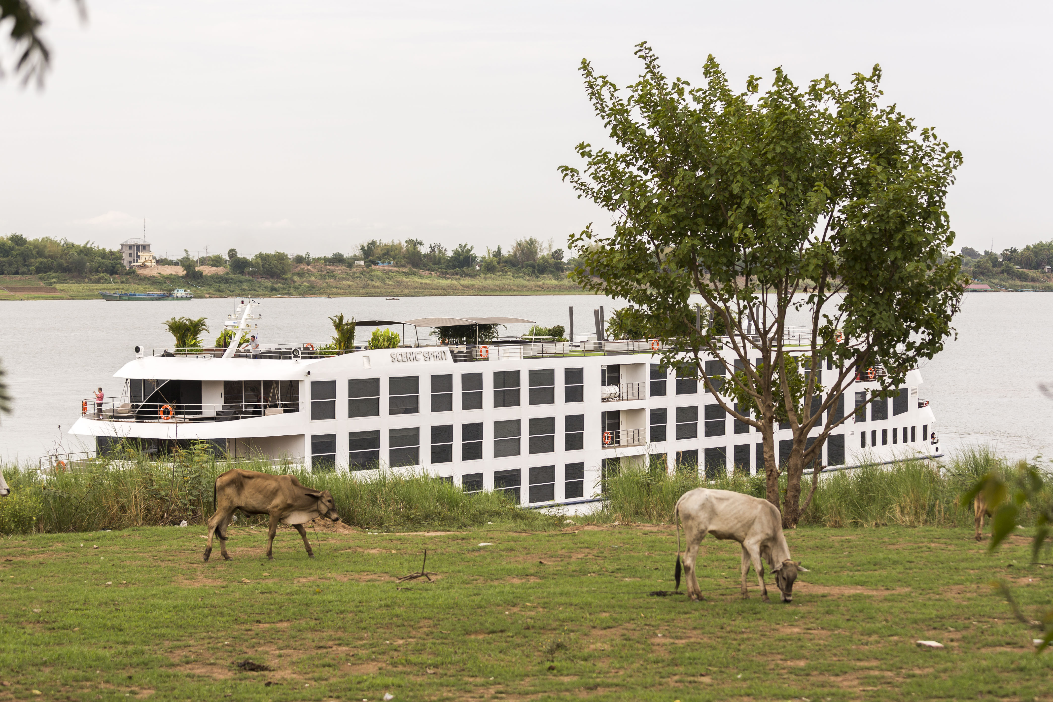 Scenic Cruises Ship | Scenic Spirit | Scenic Spirit Deals